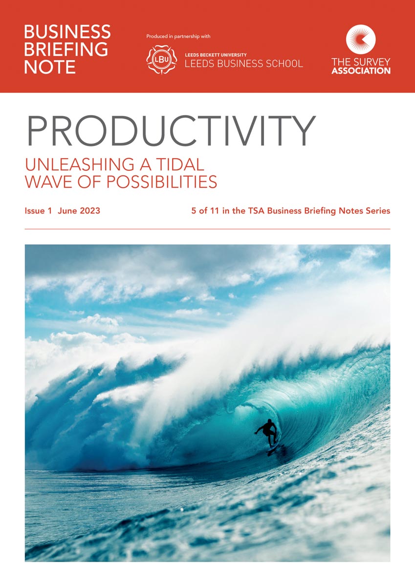Productivity: unleashing a tidal wave of possibilities - The Survey ...